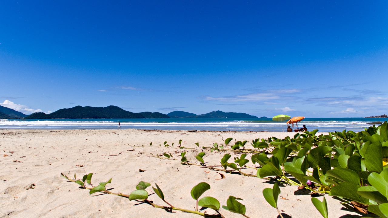 Ubatuba terá Taxa de Preservação Ambiental para turistas – Prefeitura ...