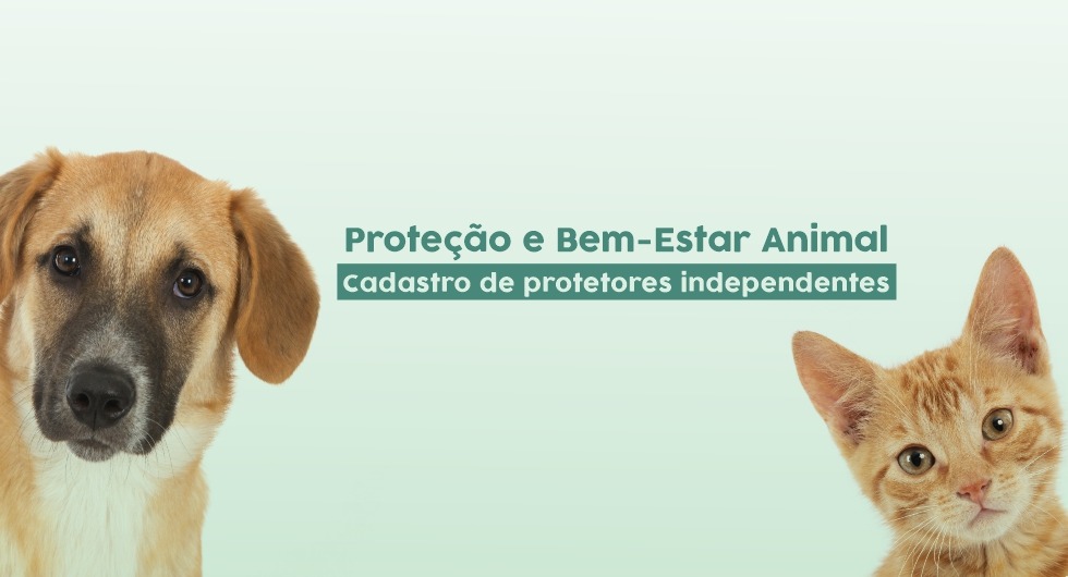 Cadastro de protetores de animais segue até o dia 30 de junho ...