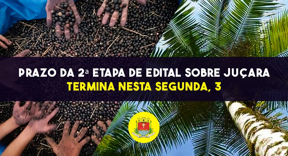 Prazo da 2ª etapa de edital sobre Juçara termina nesta segunda, 3 ...